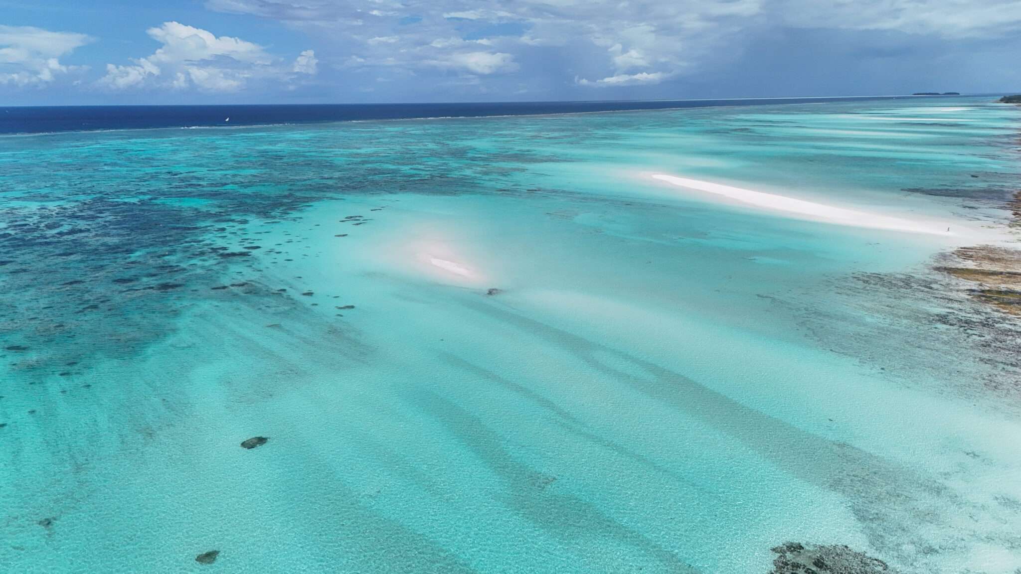 Gallery – Oasis Blu Zanzibar