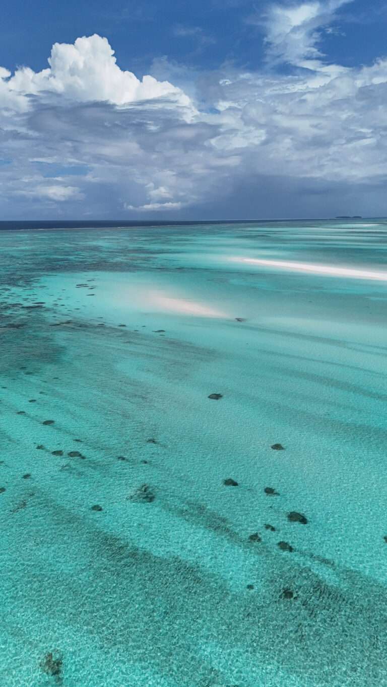 Gallery – Oasis Blu Zanzibar